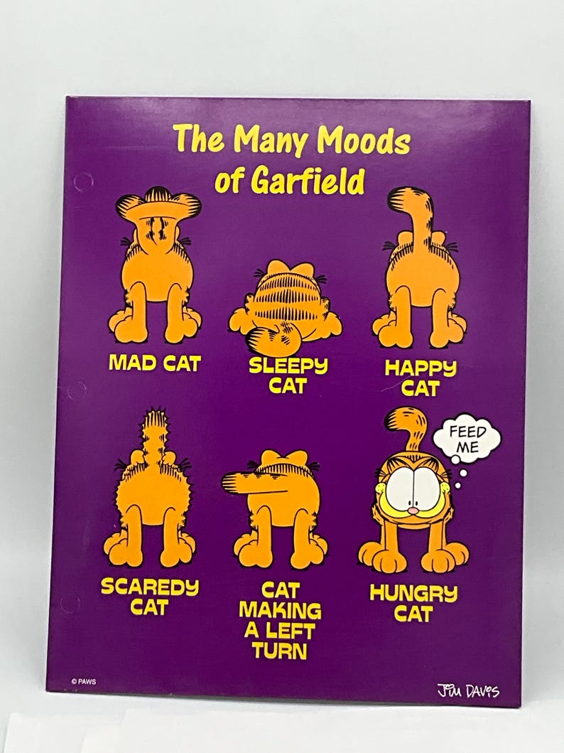 Gorgeous Collectible and Vintage Garfield Mead Folders, Cat School ...