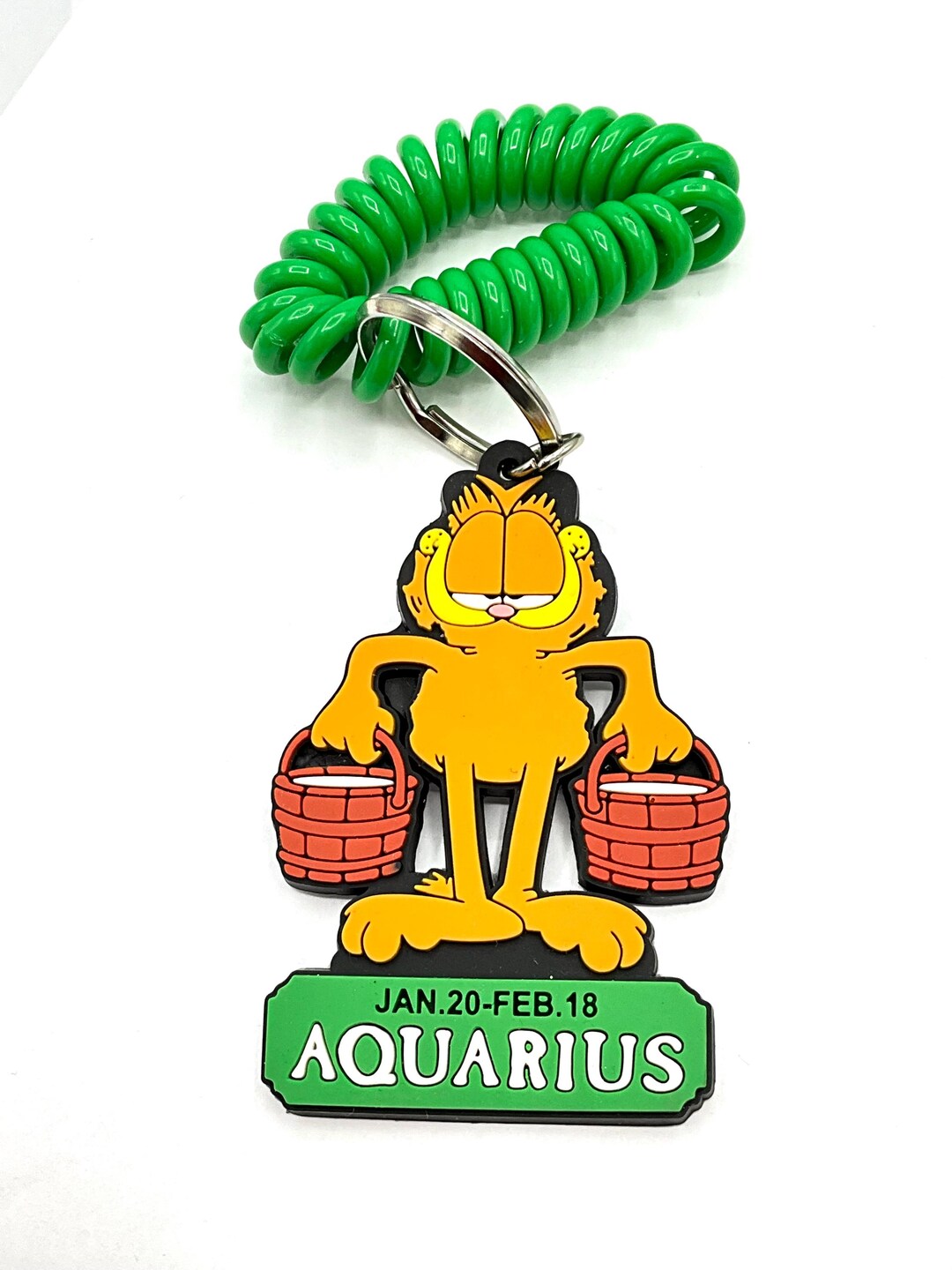 Gorgeous Collectible and Vintage Garfield as Aquarius , Zodiac, Orange ...