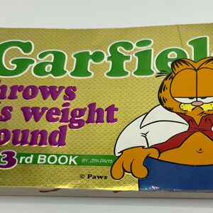 Gorgeous Collectible and Vintage Garfield Trivia Book and Throw His ...