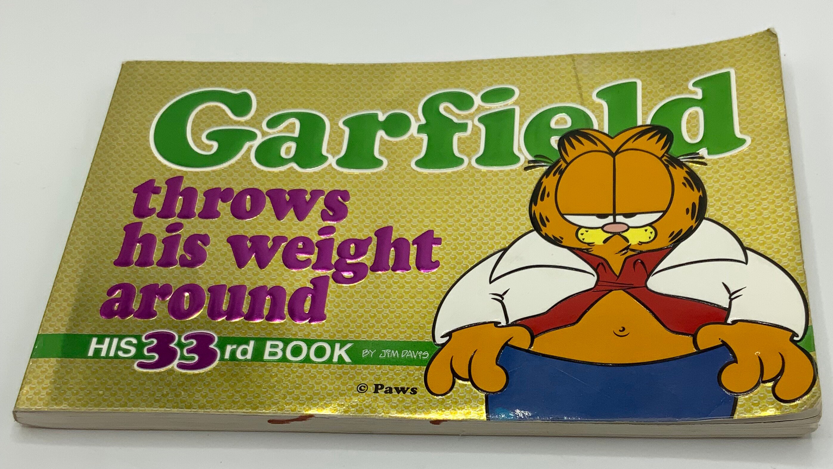 Gorgeous Collectible and Vintage Garfield Trivia Book and Throw His ...