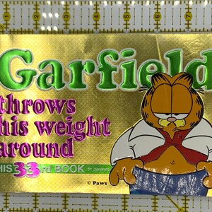 Gorgeous Collectible and Vintage Garfield Trivia Book and Throw His ...