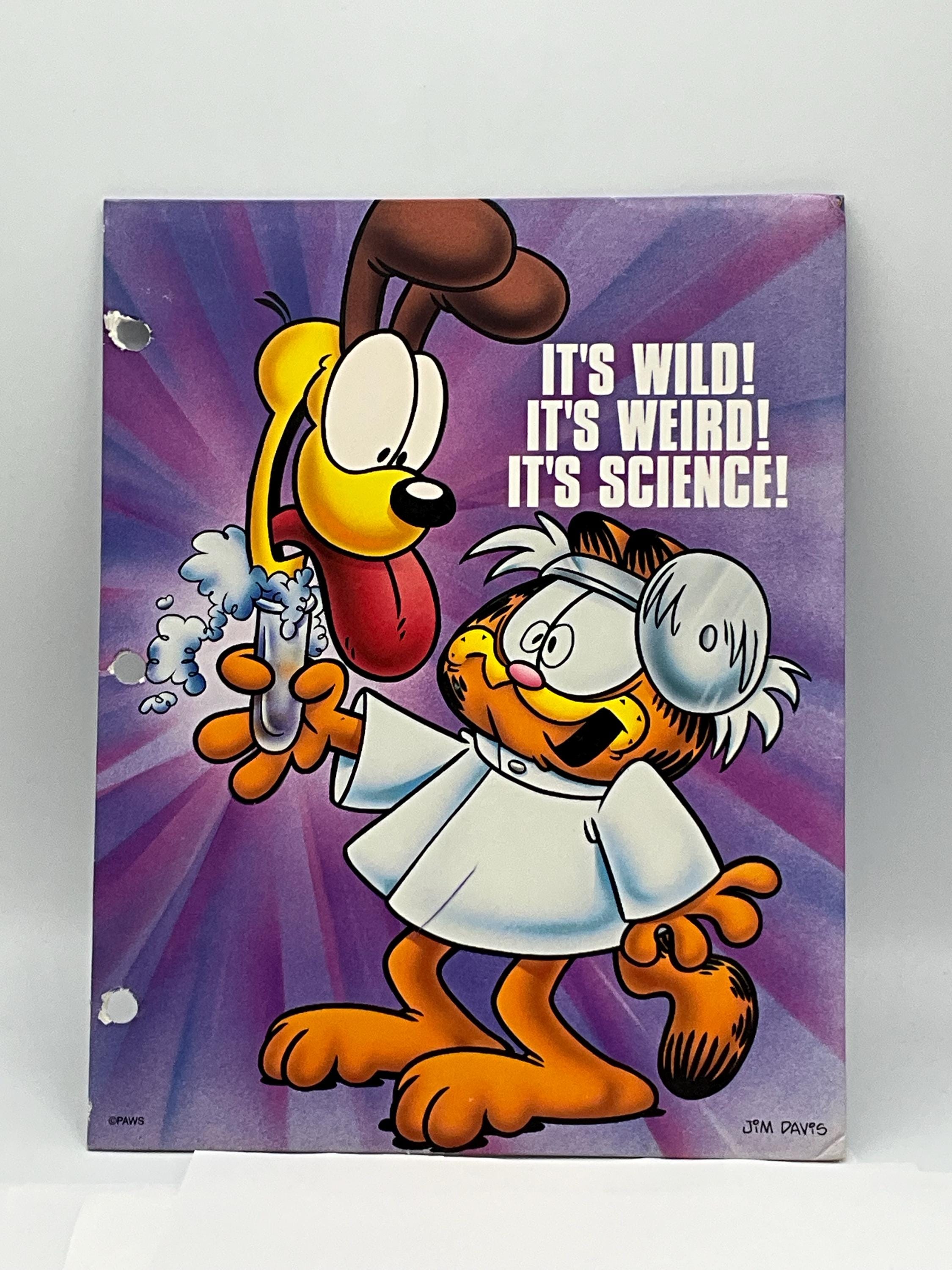 Gorgeous Collectible and Vintage Garfield Mead Folders, Cat School ...