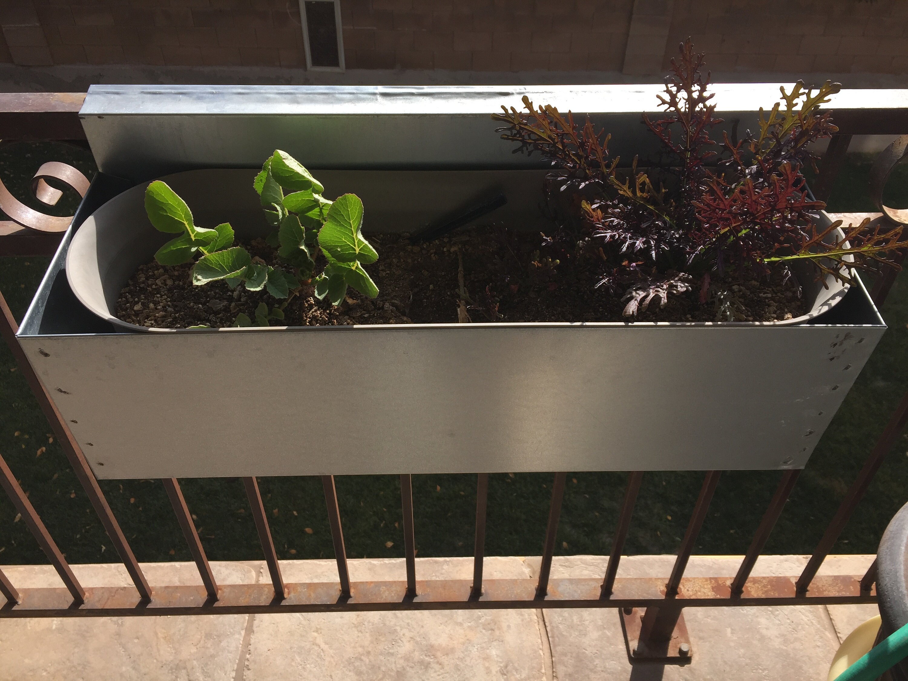 Metal Planter Boxes That Set on Patio Railing. - Etsy