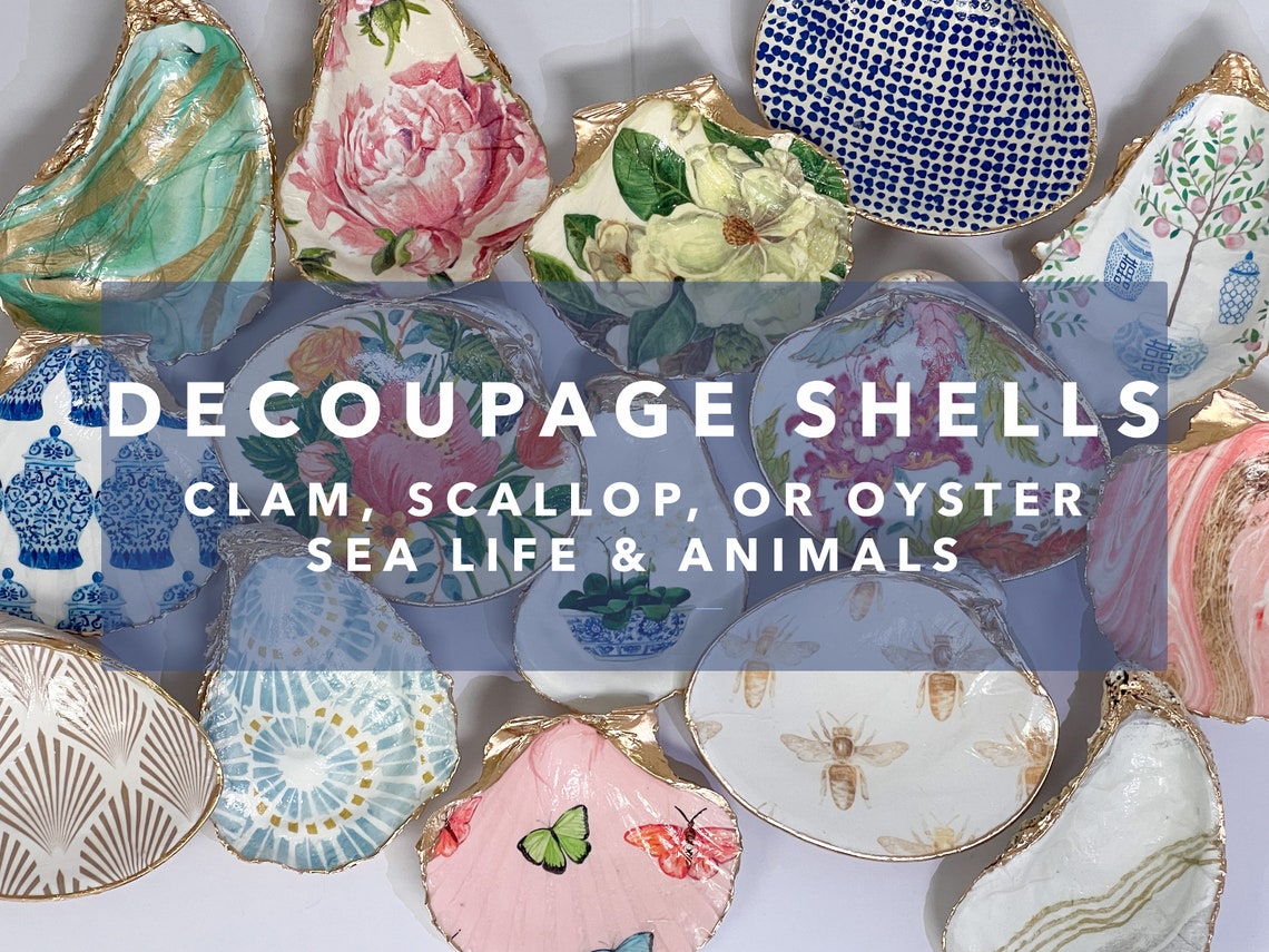 Decoupage Shells Clam Scallop or Oyster Sea Life & Animals - Etsy