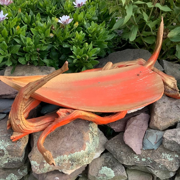 Driftwood Display - Etsy