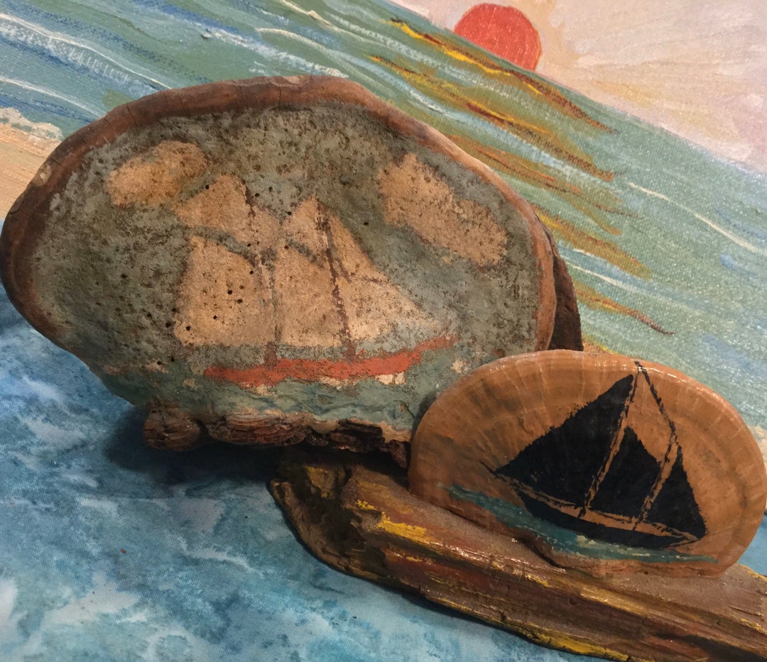 Painted Tree Conk Mushroom-bract-fungus-shelf Fungi W/original Ship ...