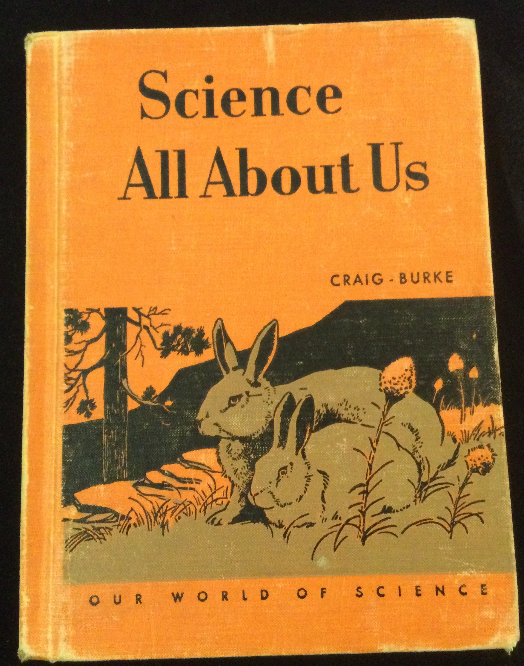 1950s Childrens Book science All About Us by Gerald | Etsy