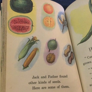 1950s Childrens Book science All About Us by Gerald - Etsy