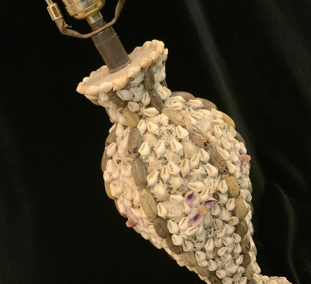 Large Shell Lamp-light-lighting/table Lamp/seashell Encrusted/nautical ...