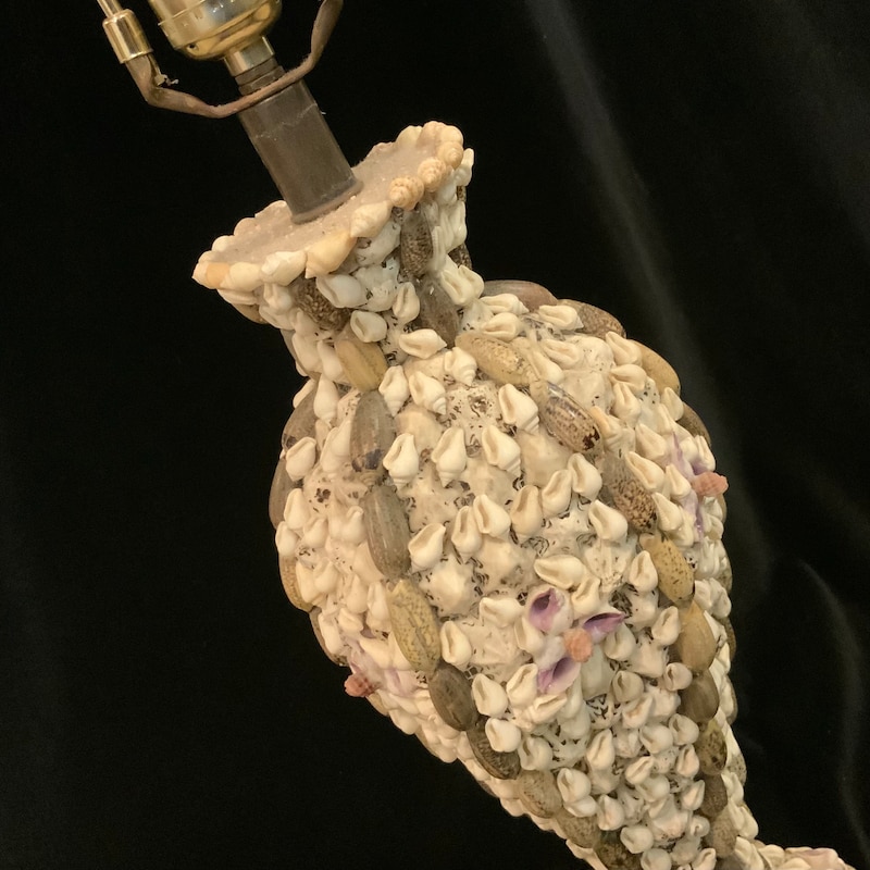 Shell Lamp - Etsy