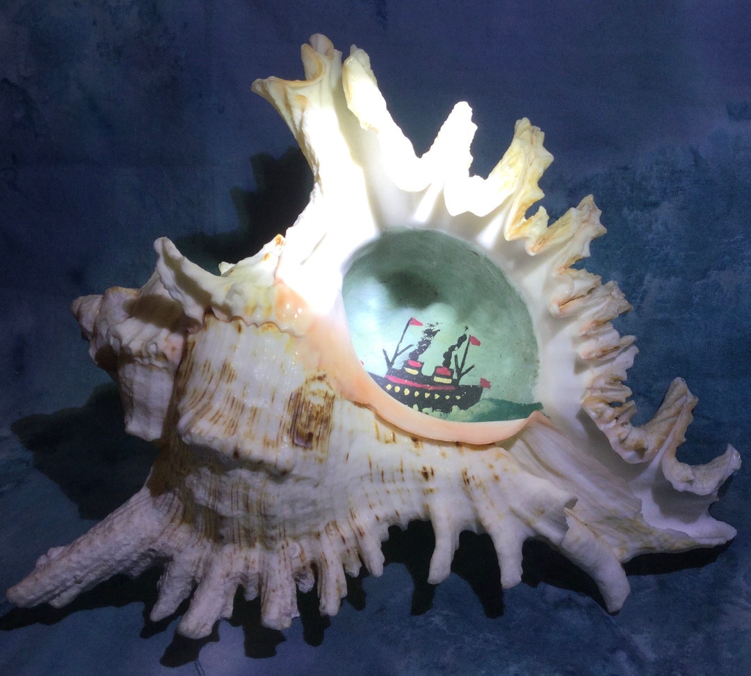 French Shell Art Souvenir/sailors Valentine/hp Nautical Ship/titanic ...