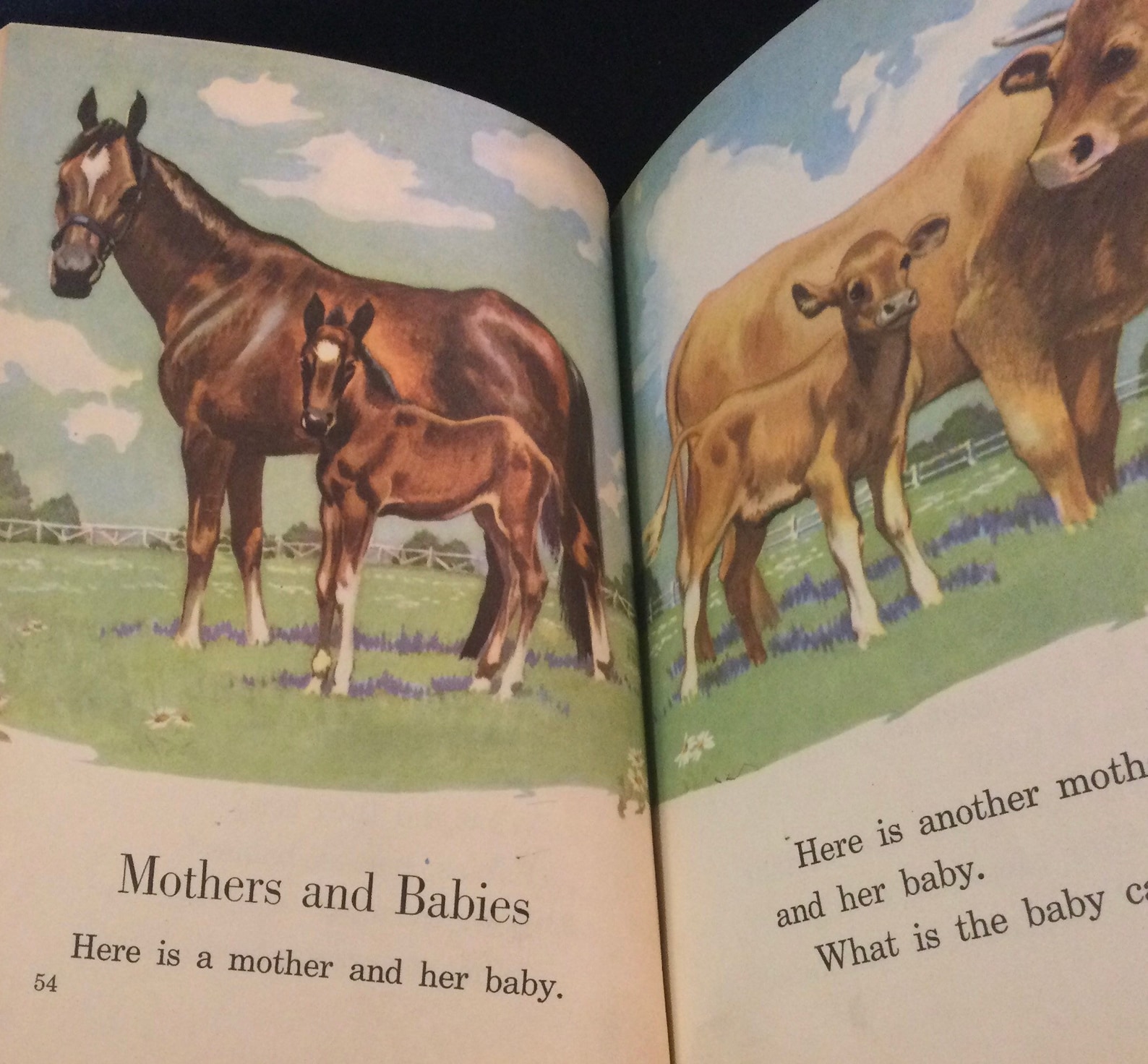 1950s Childrens Book science All About Us by Gerald | Etsy
