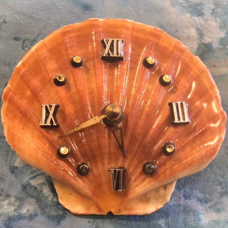 Seashell Clock - Etsy
