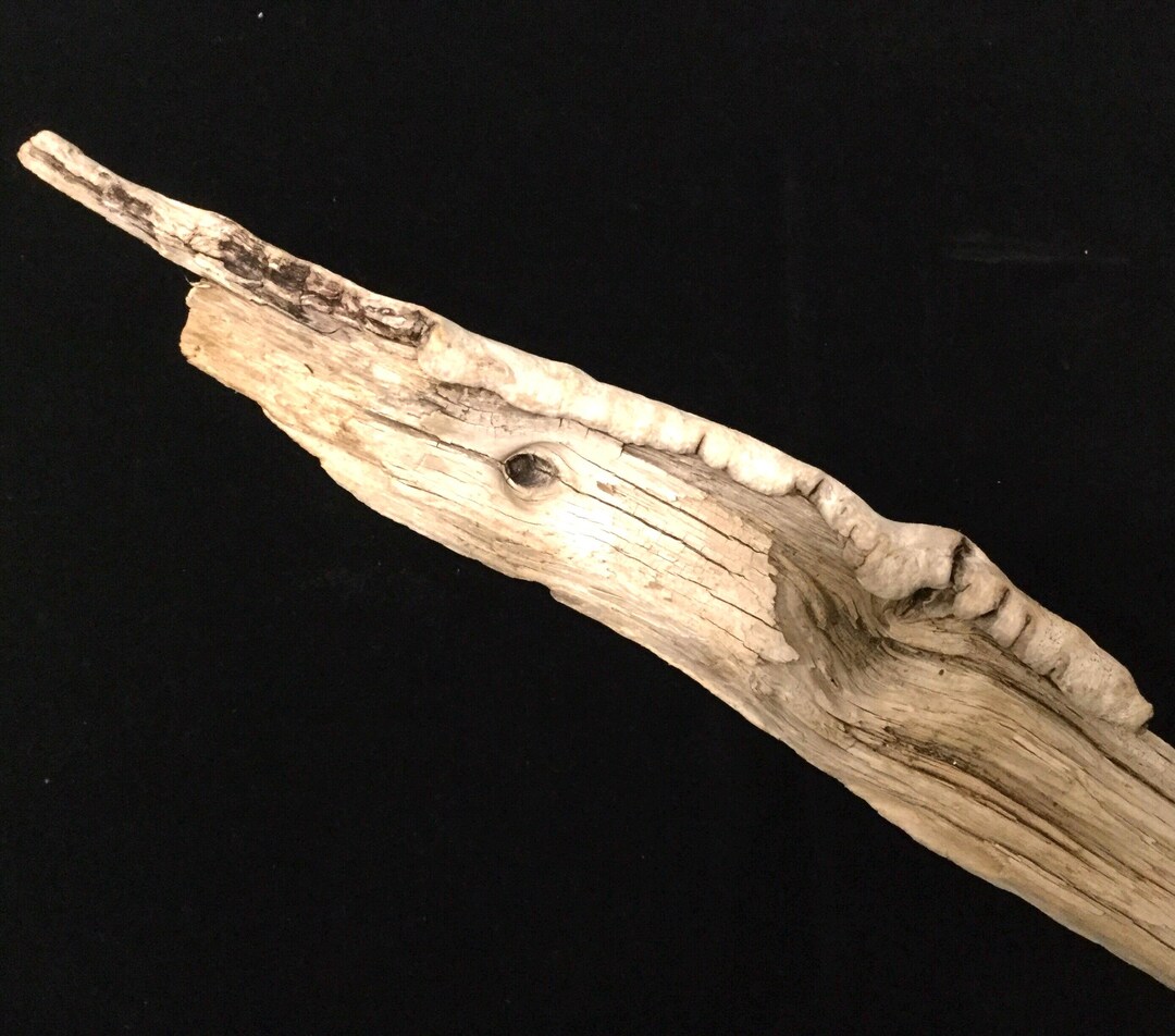 Fish Sculpture Wall Art/salvage Wood/natural Driftwood Ocean Specimen ...