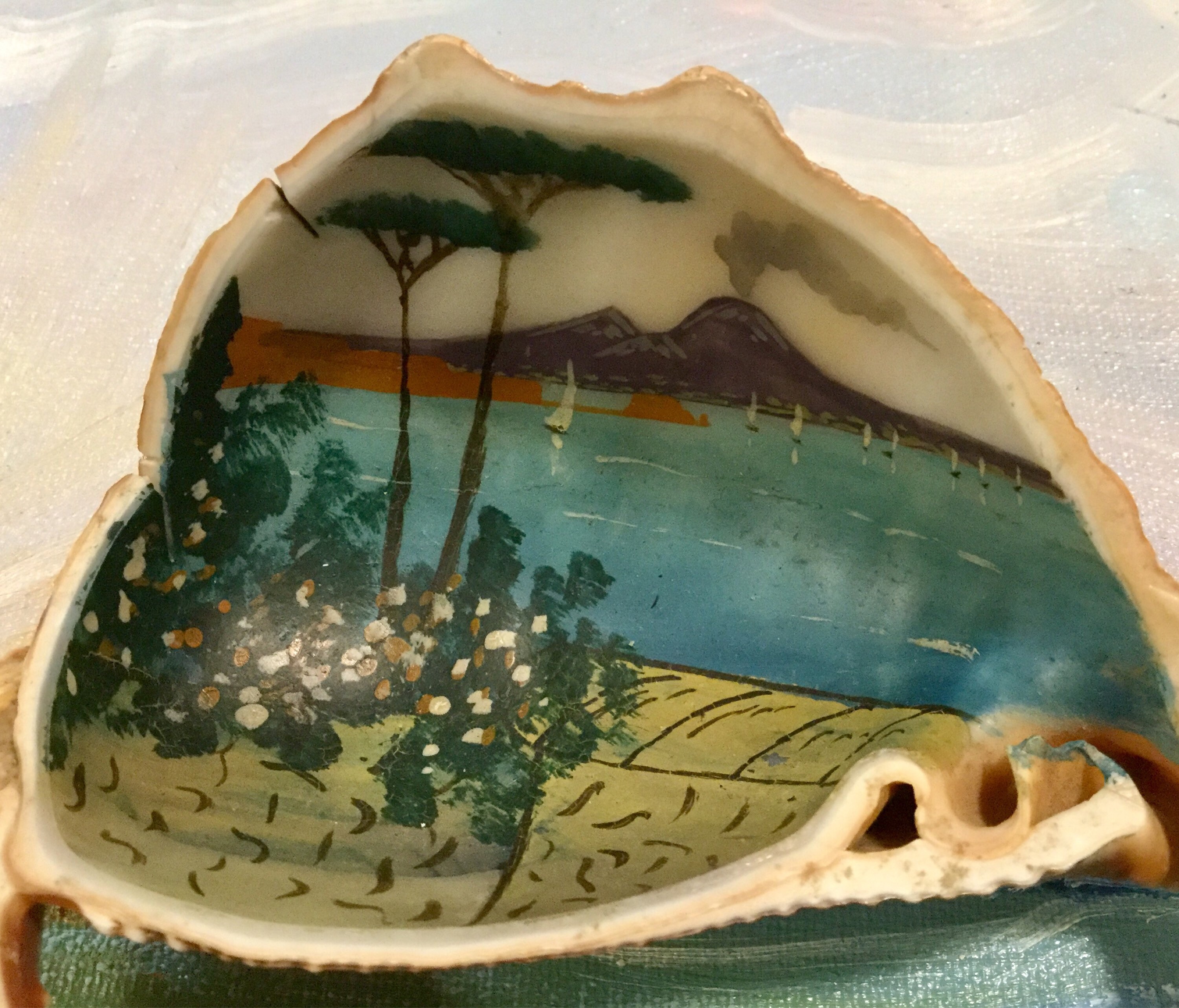 1930s Shell Art Souvenir Hand Painted Conch Seashell Mt. - Etsy UK