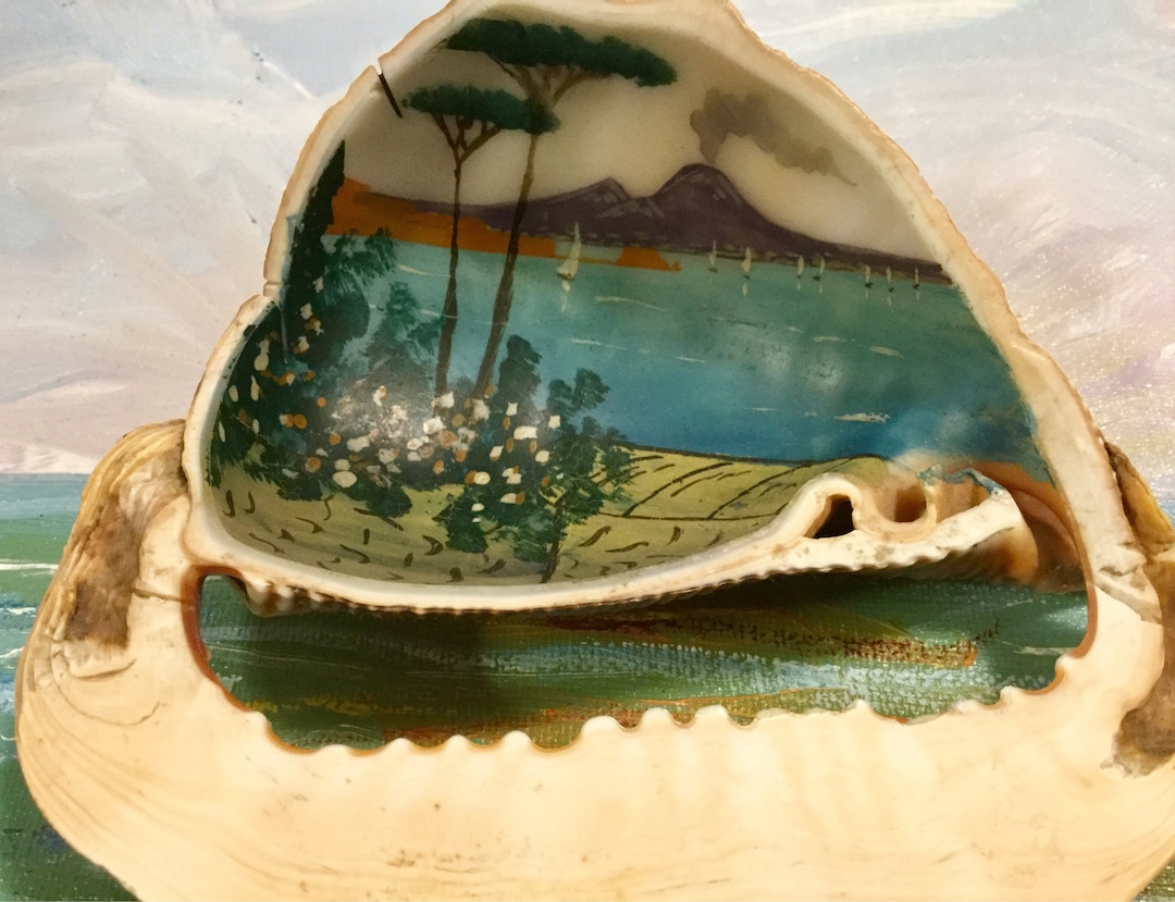 Italian Shell Art Souvenir/hand Painted Conch Seashell/mt. Vesuvius ...
