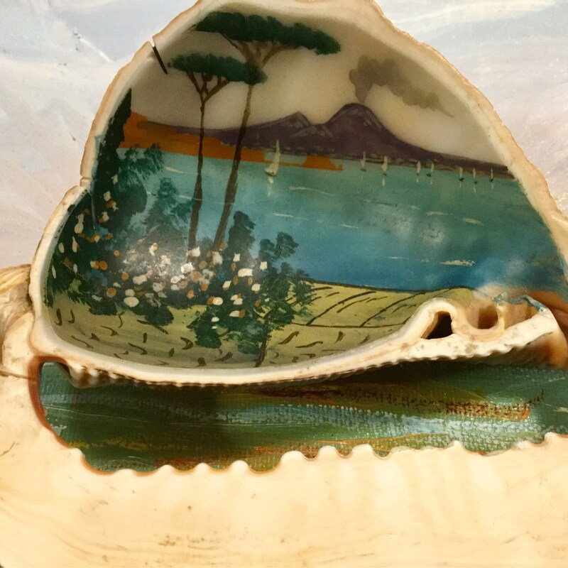 Shell Souvenirs - Etsy