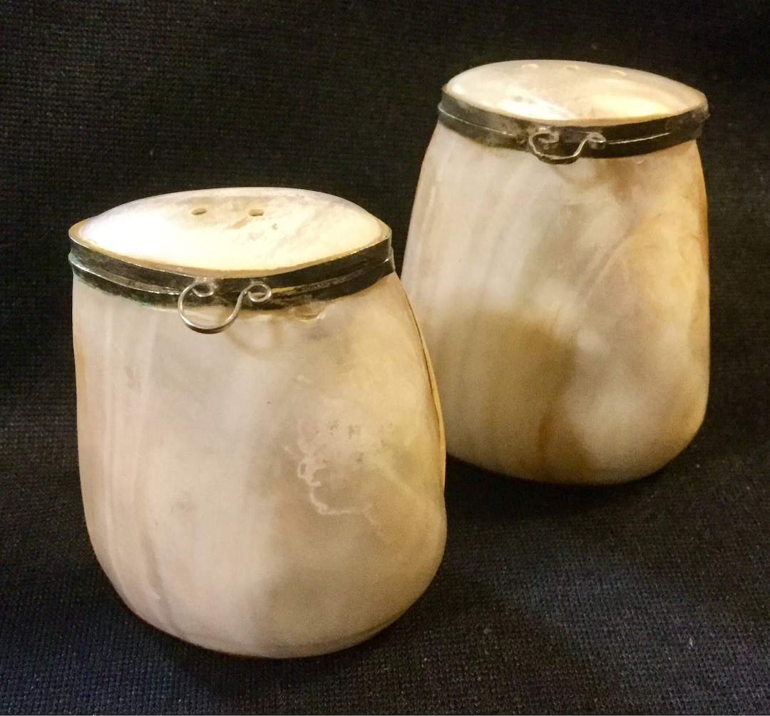 Salt & Pepper Shakers/mop Shell Seashell Art/mother-of-pearl/nautical ...