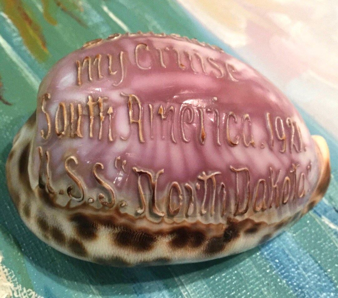 Military Souvenir/uss North Dakota Battleship/carved Cowrie Shell Art ...