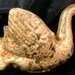 Gold Ceramic Swan Set/weeping Bright Gold/small Swan 5.75wx3.5h/large ...