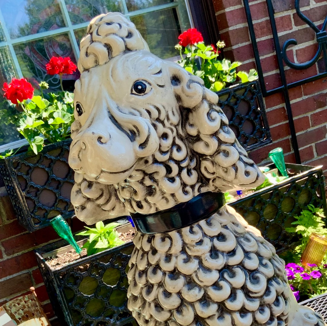 Jumbo French Poodle Statue/chalk-ware Cement Resin/life Size/indoor ...