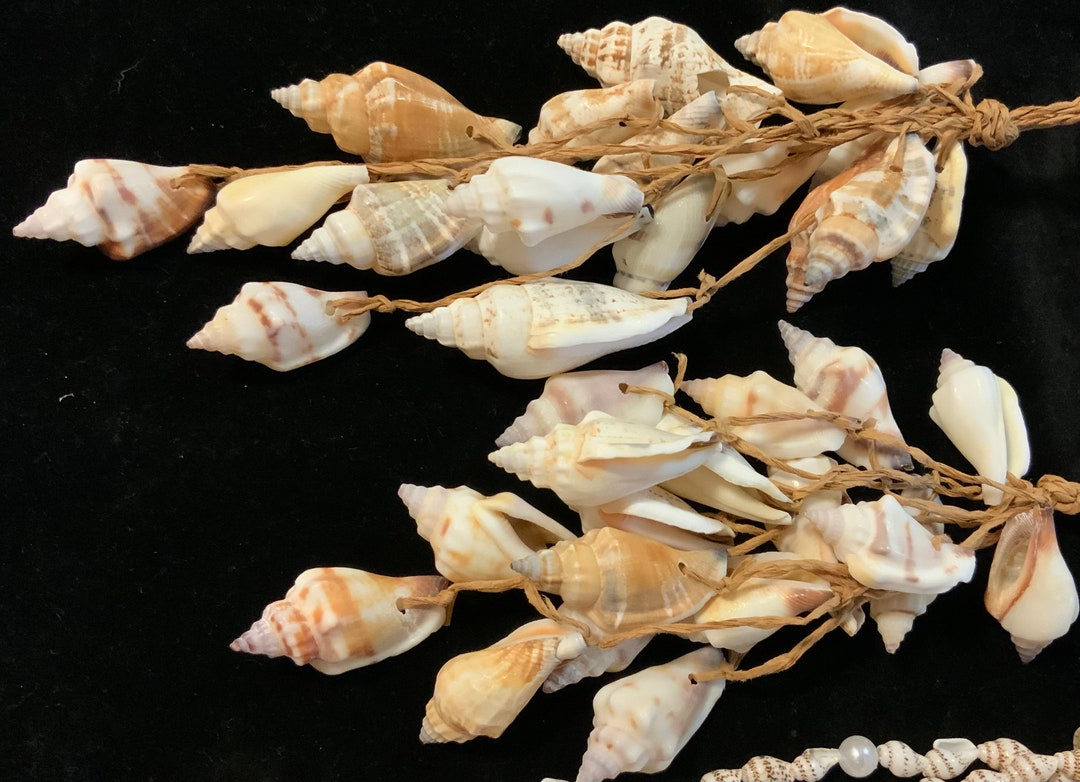 90s Shell Tassel-curtain Tieback-ornament/nautical/seashells/long-large ...