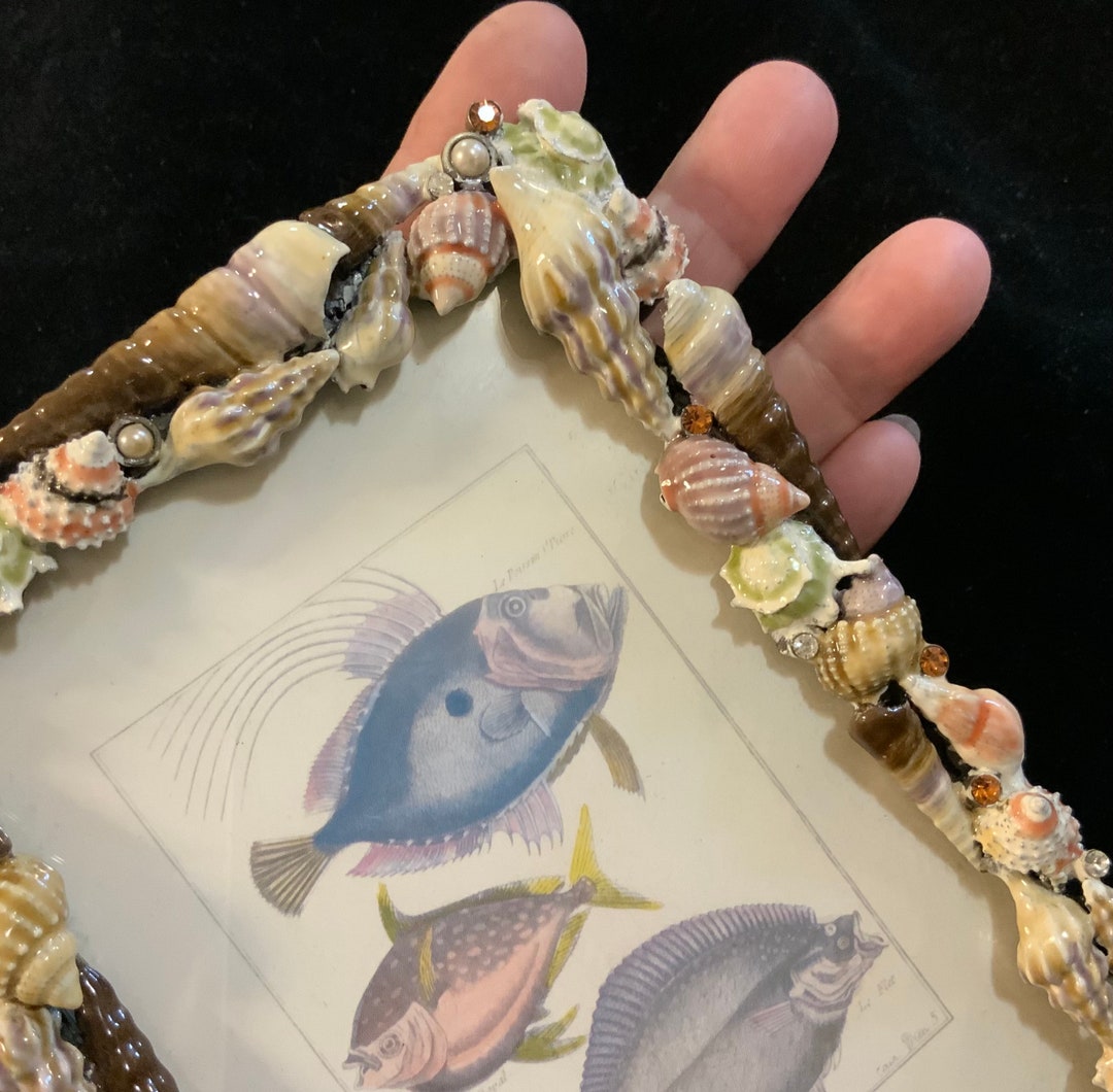 Shell Photo Frame/nautical Picture Frame/seashell Encrusted/rhinestones ...