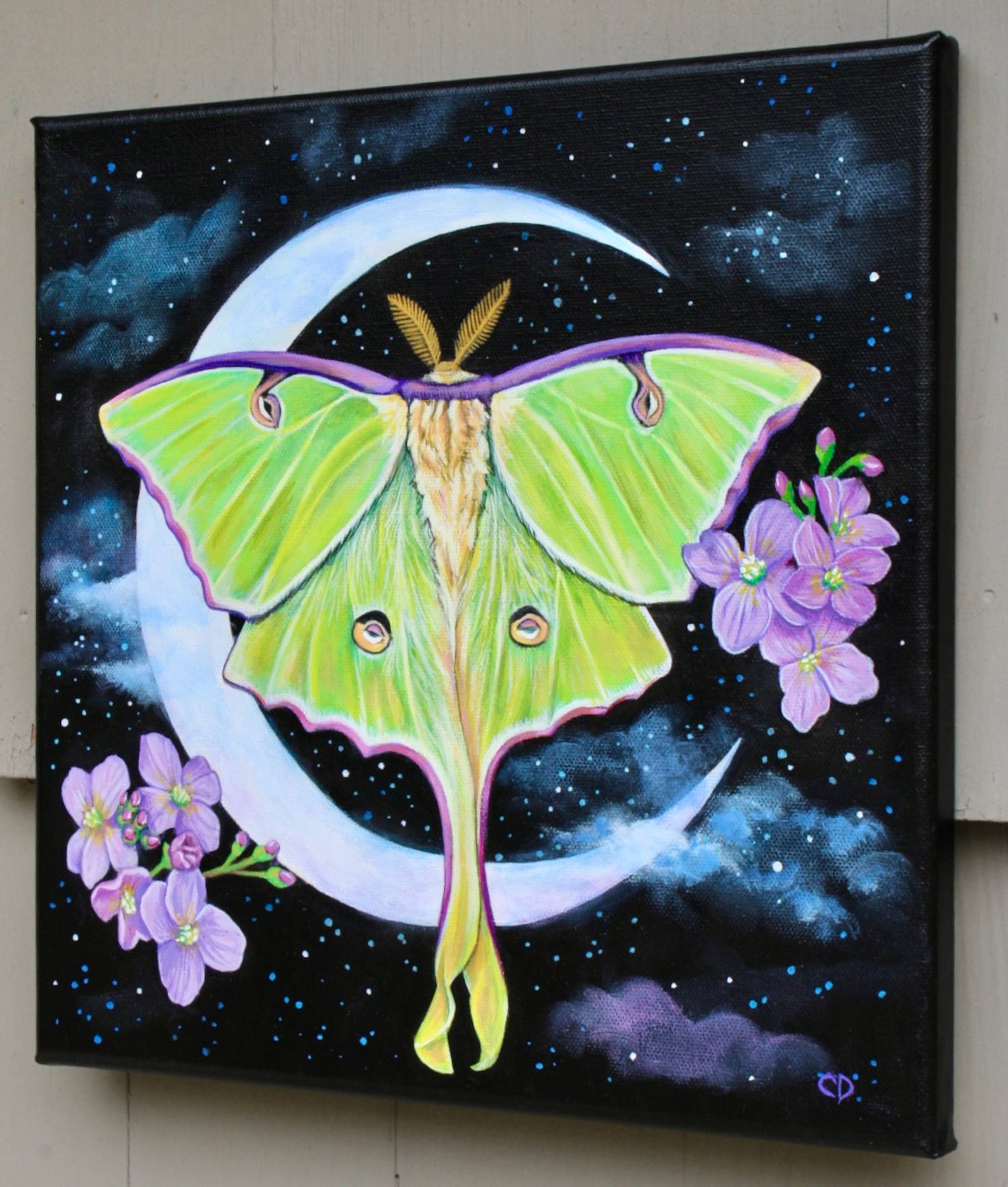 Luna Moth Original Painting - Etsy