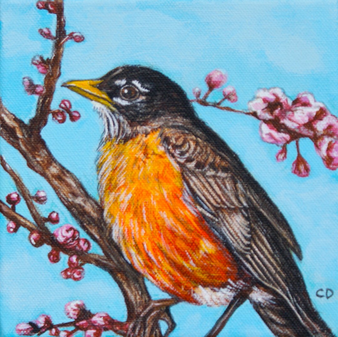 Robin in Spring - Etsy