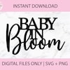 Baby Girl Sign SVG PDF DXF - Etsy Canada