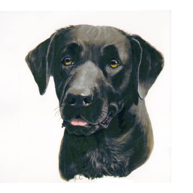 Lab Quilt Panel - Etsy