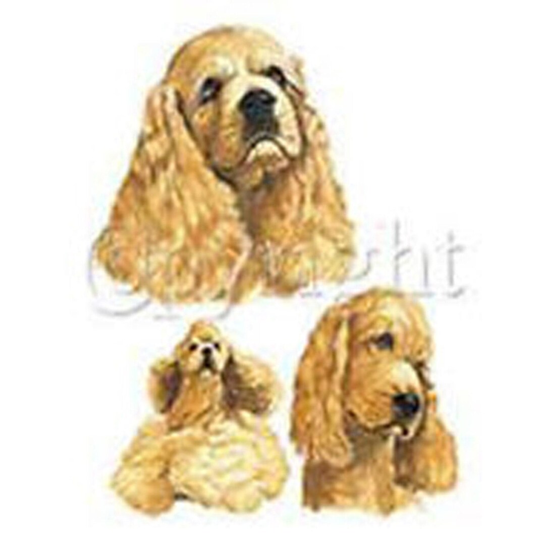 Cocker Spaniel Fabric Panel, Kona Cotton, Quilt Pillow 5860 - Etsy
