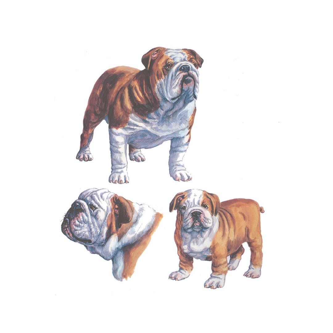 BULLDOG on Kona Cotton, Cotton Blend or Duck Canvas Fabric Panel to Sew ...