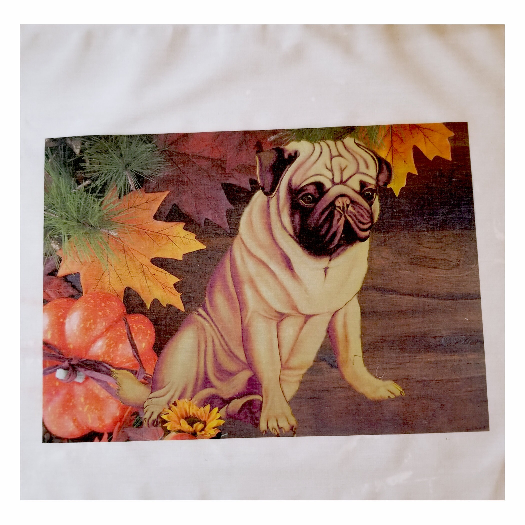Pug Print on Cotton Blend, 65/35 Polyester/cotton Fabric Panel to Sew a ...