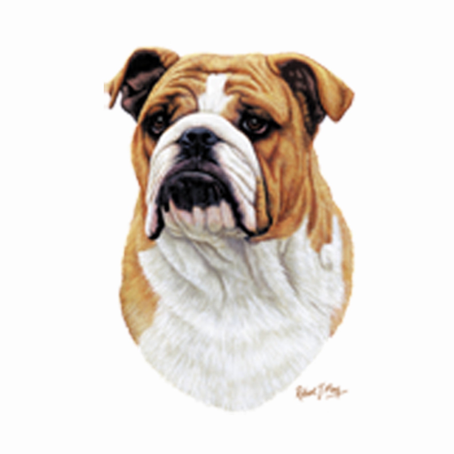 BULLDOG Print Bulldog Fabric Panel Bulldog Quilt Panel | Etsy