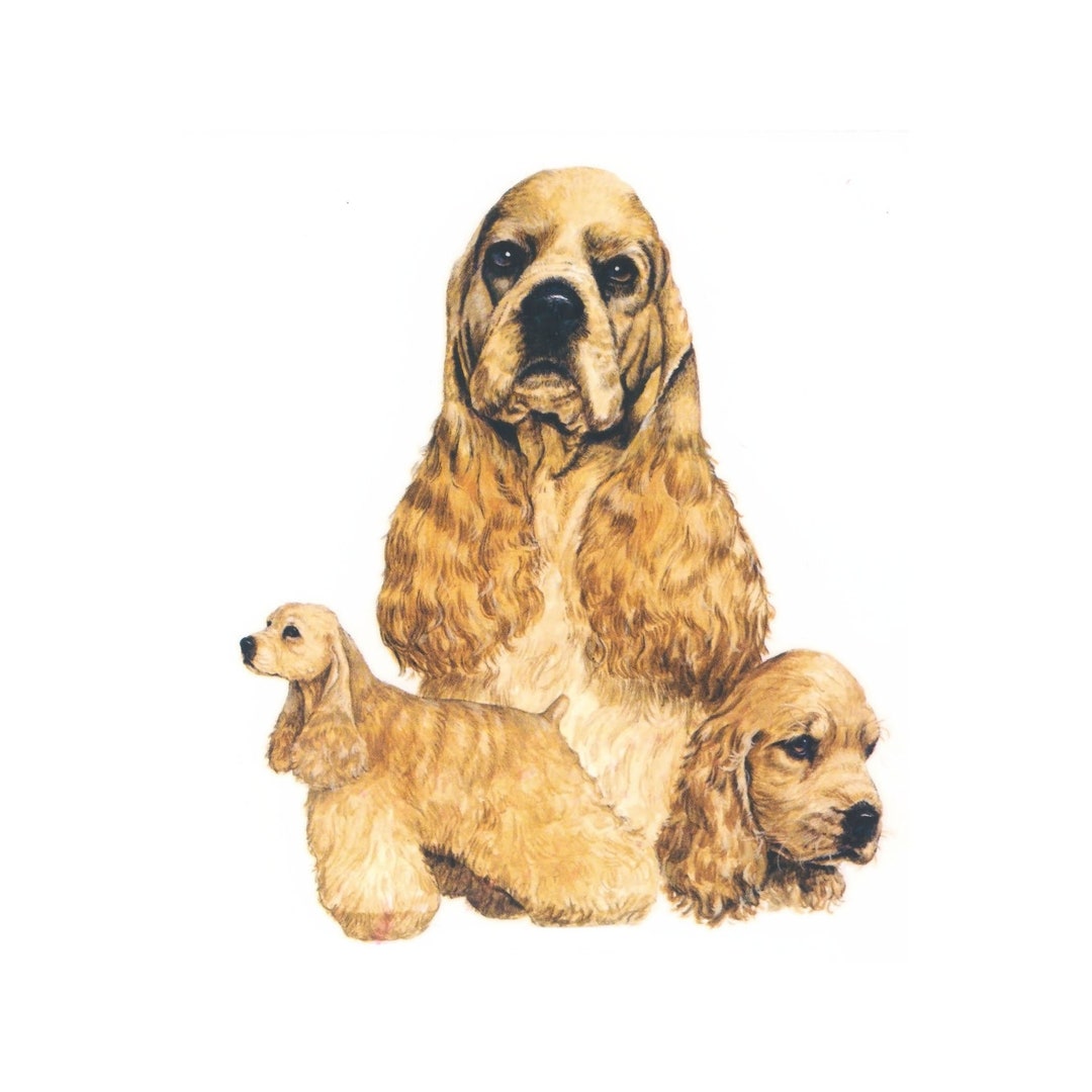 Cocker Spaniel on Kona Cotton, Cotton Blend or Duck Canvas Fabric Panel ...