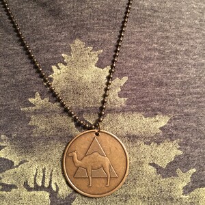 Men's Bronze AA Medallion Pendant, Camel With Recovery Triangle - Etsy