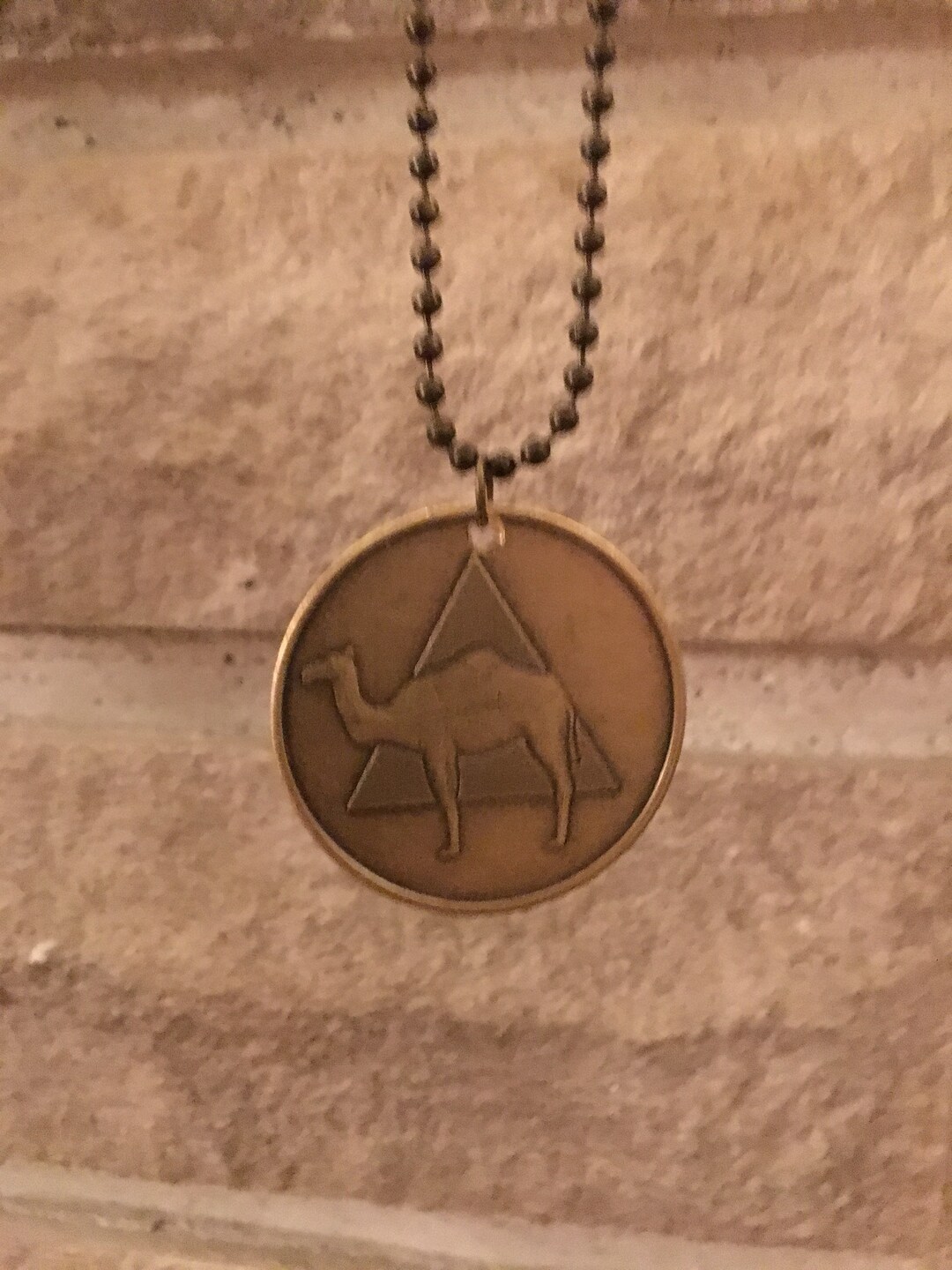 Men's Bronze AA Medallion Pendant, Camel With Recovery Triangle - Etsy