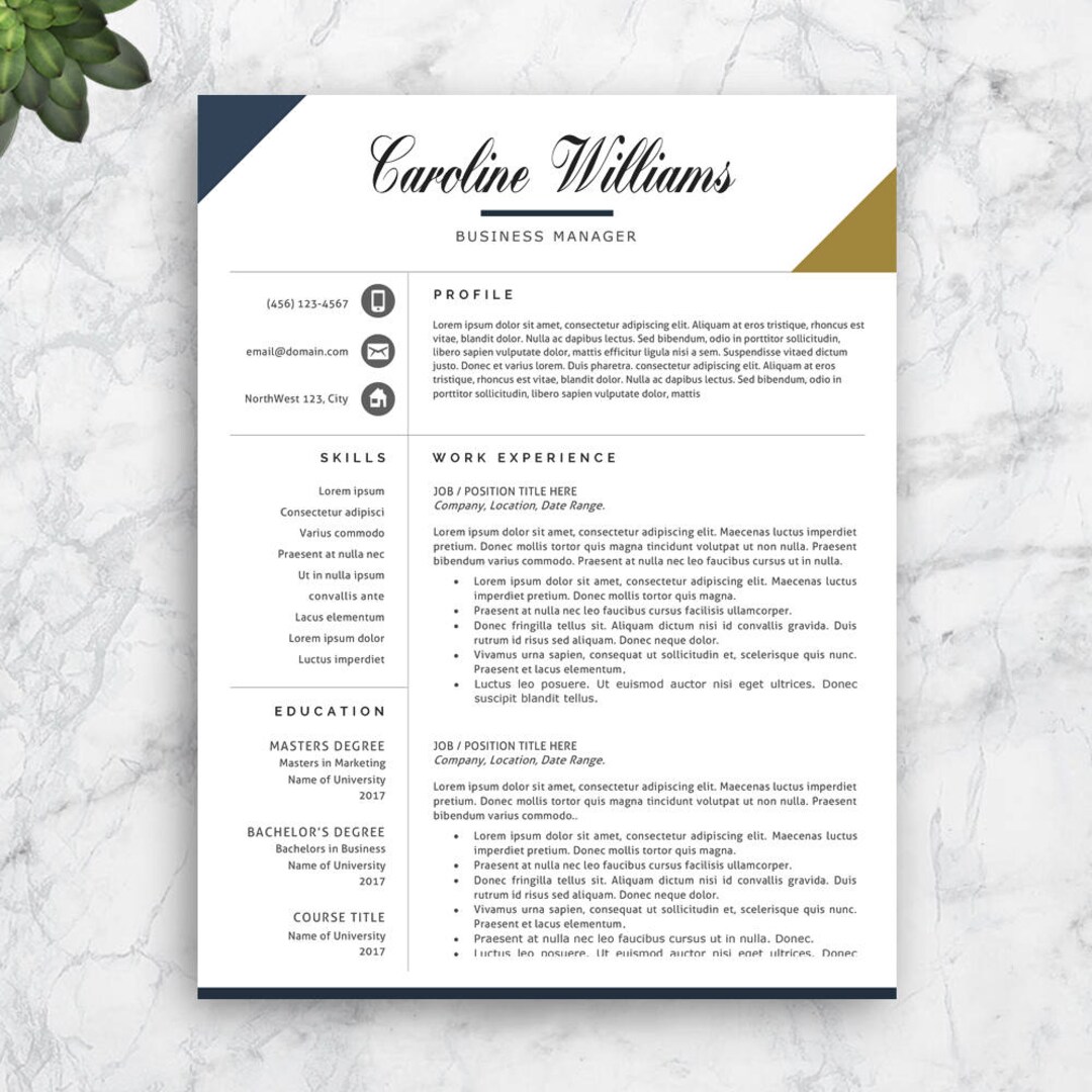 SALE: Professional Resume Template for Word and Pages. - Etsy