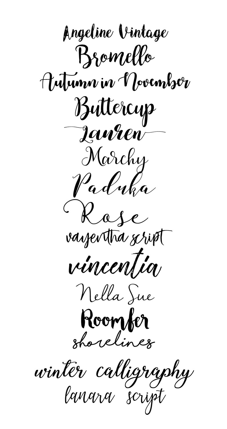 Final Fiesta Bachelorette Party Itinerary, Bachelorette Party ...