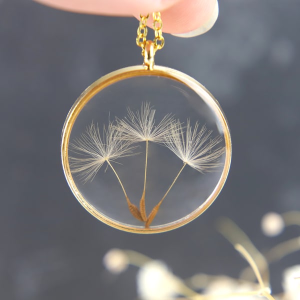 Real Dandelion Seeds - Etsy