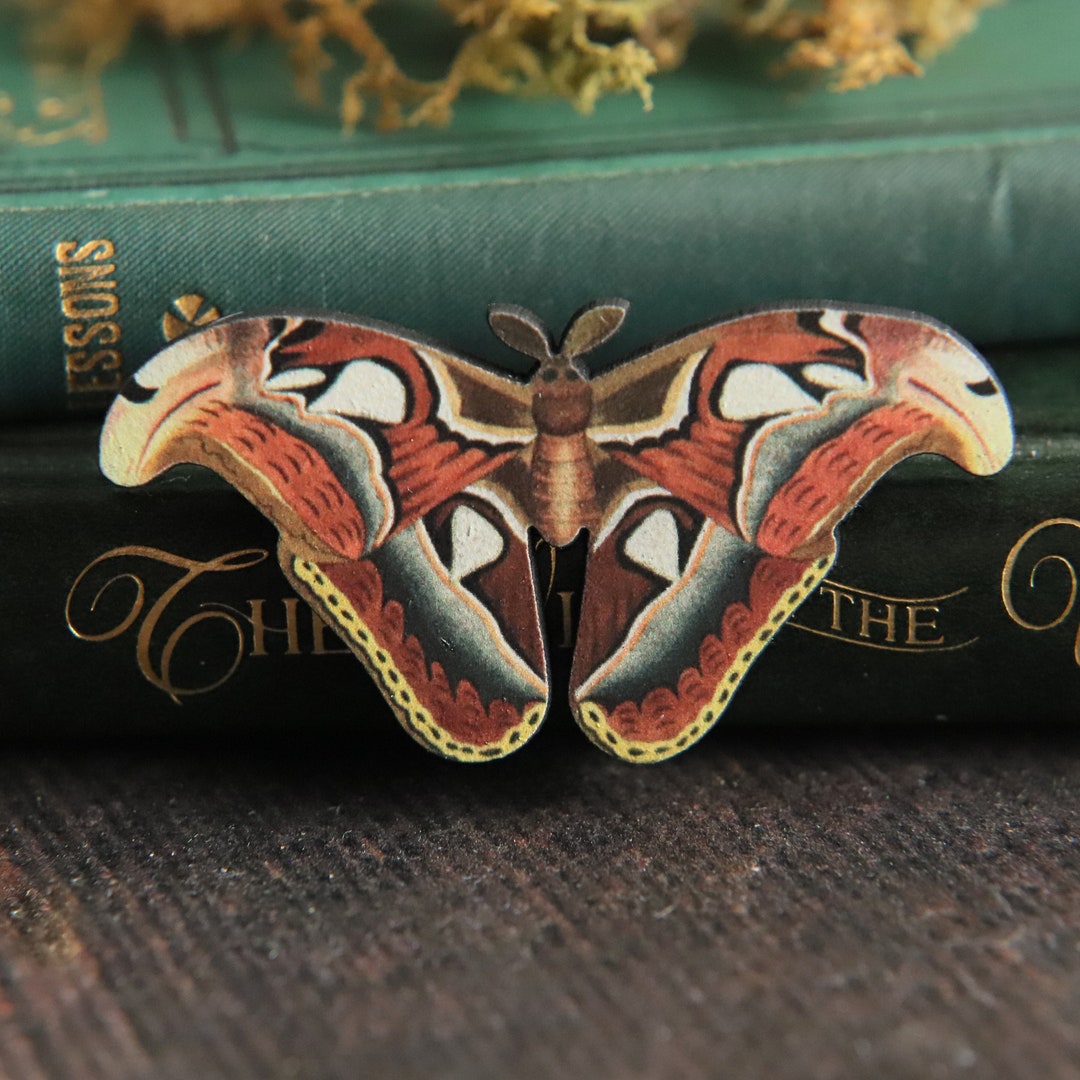 Atlas Moth Brooch: Wooden Entomology Badge, Nature Lover Gift - Etsy