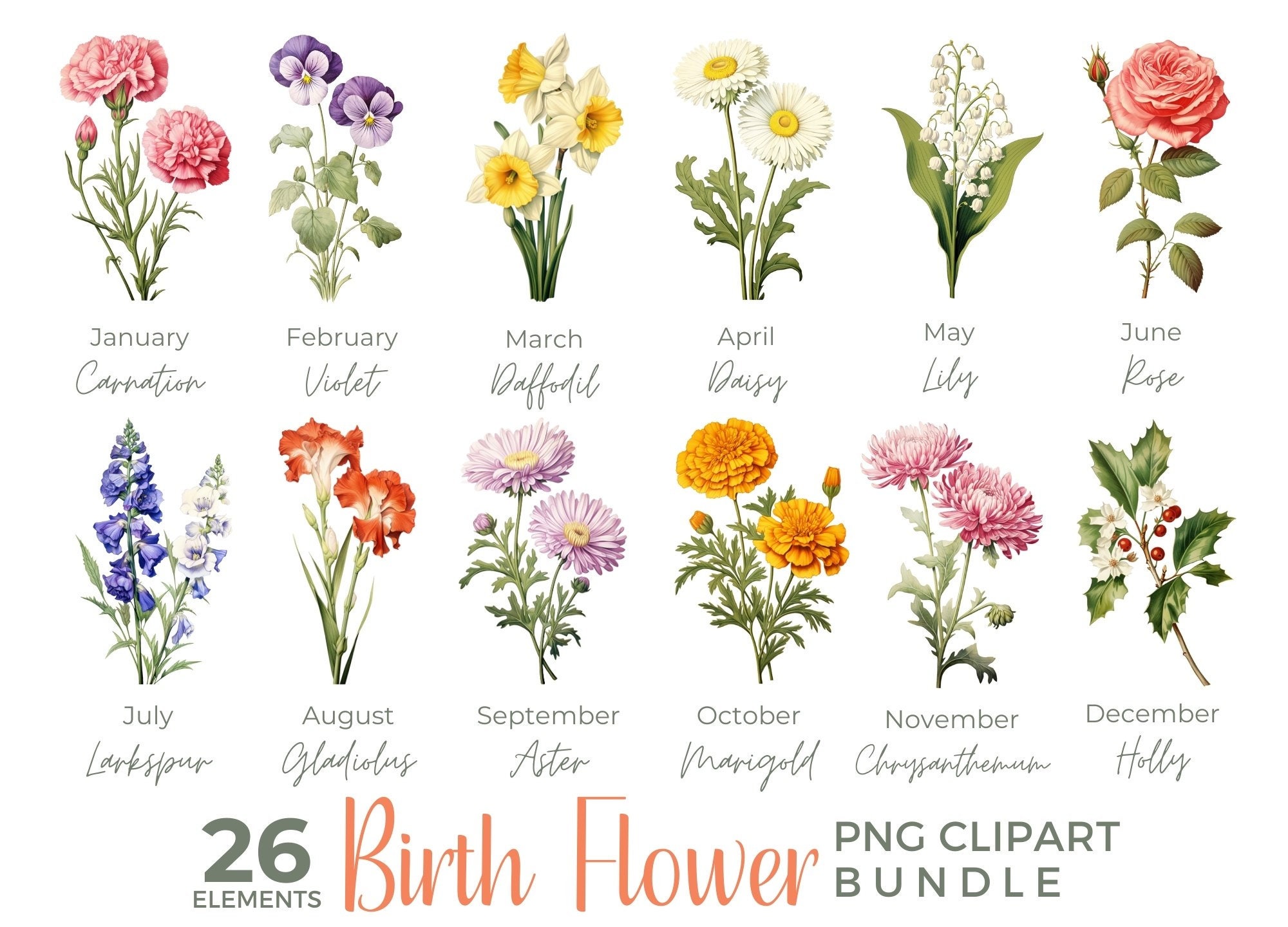 Birth Month Flower Clipart, Birth Flower PNG, Birth Month Flower ...