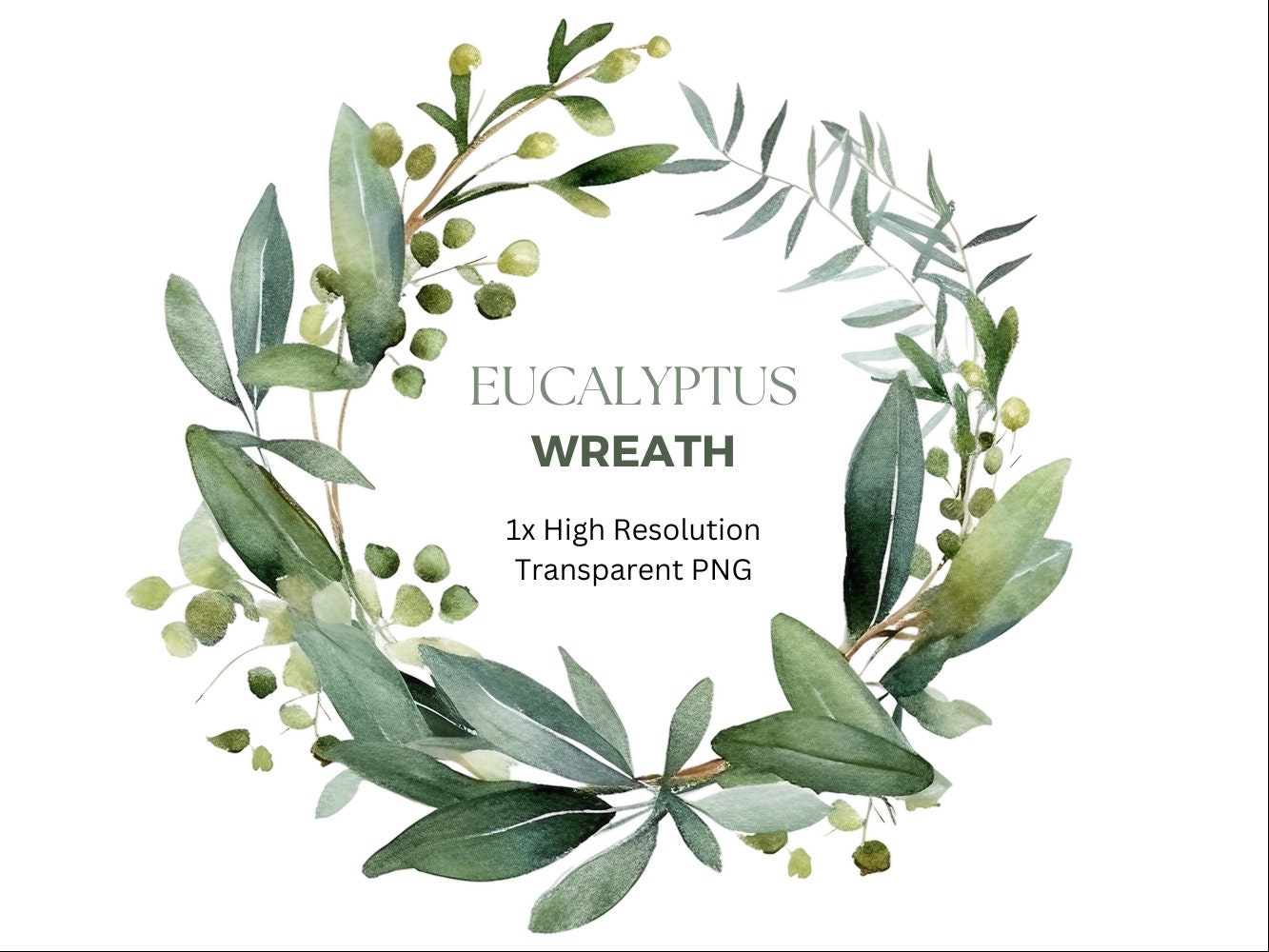 Watercolor Eucalyptus Wreath Clipart, Transparent Png, Greenery - Etsy