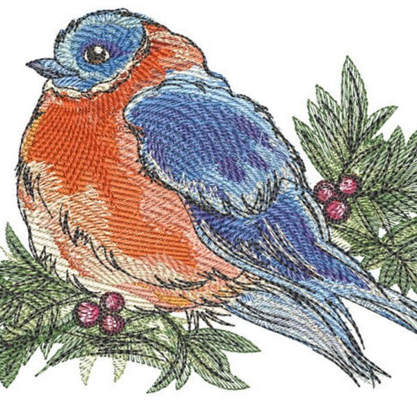 Bluebird Embroidery - Etsy