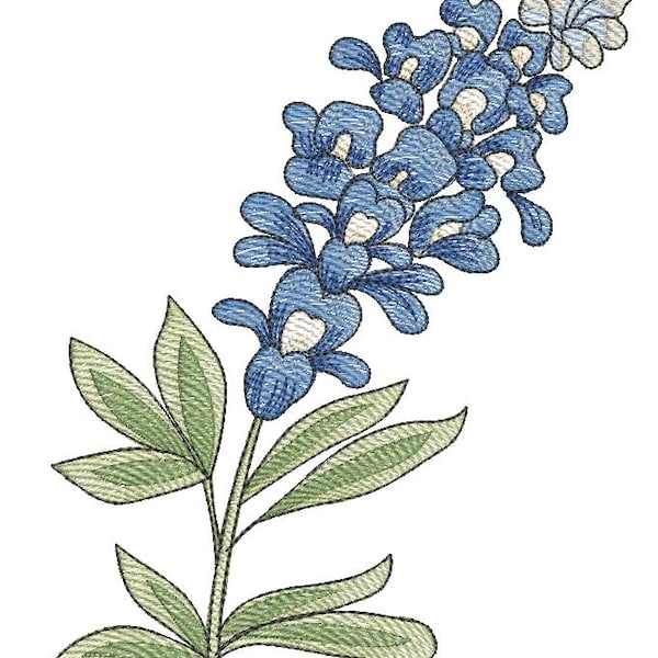 Bluebonnet Embroidery Designs - Etsy