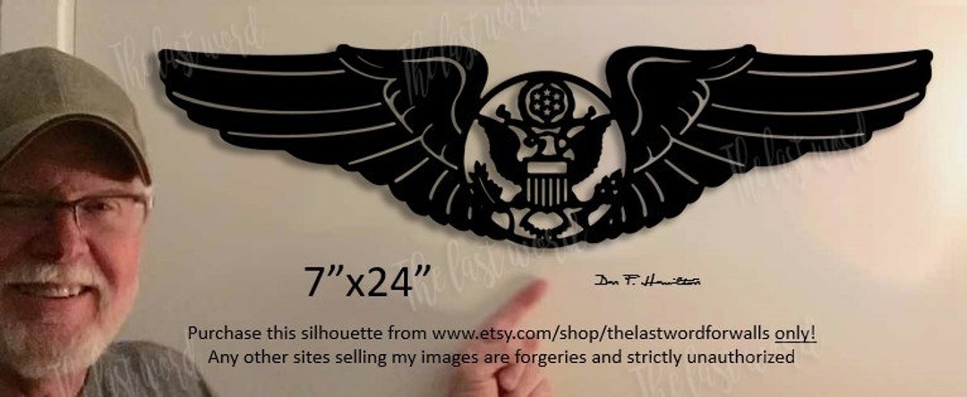 USAF Airborne Mission System Operator Wings XL Silhouette! You Earned ...