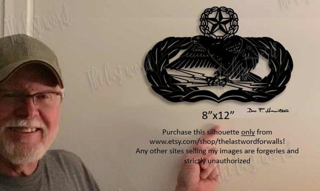 USAF Master Radar Airfield & Weather Systems Badge Silhouette! - You ...