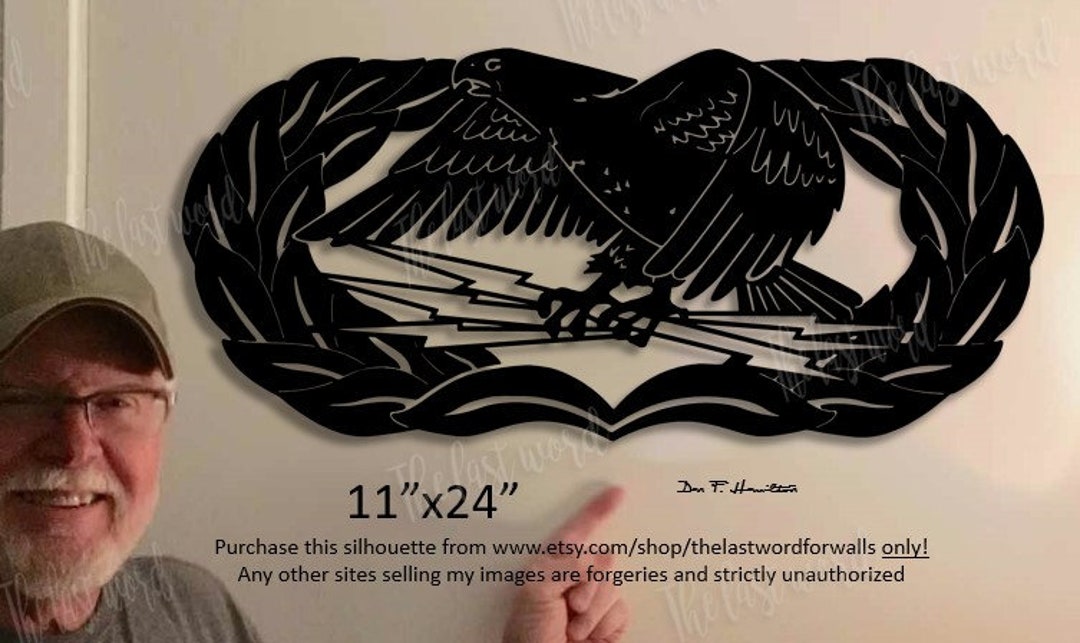 USAF Radar Airfield & Weather Systems Badge XL Silhouette! You Earned ...