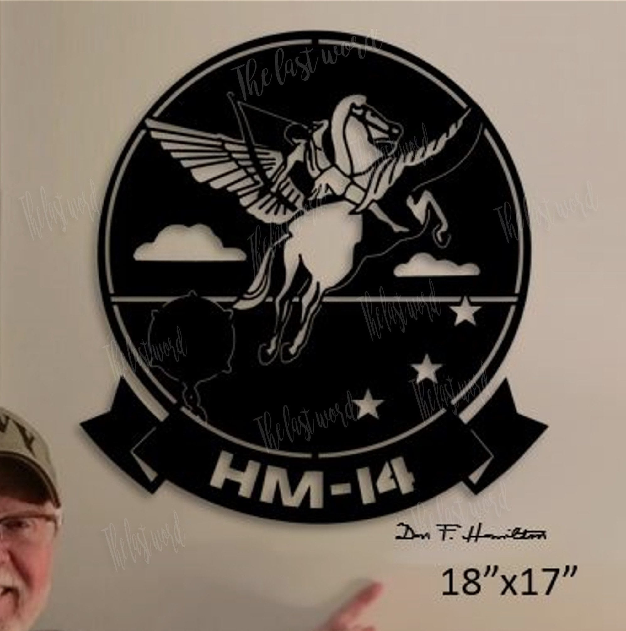 HM-14 Vanguard Insignia Silhouette the World Famous - Etsy